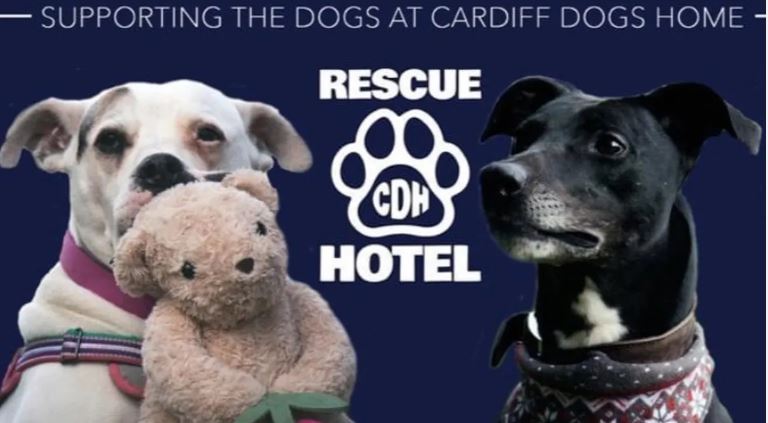 Cardiff Dogs Home Update Planning approved!! - BECT