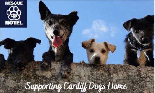 BECT - Quality Construction Services