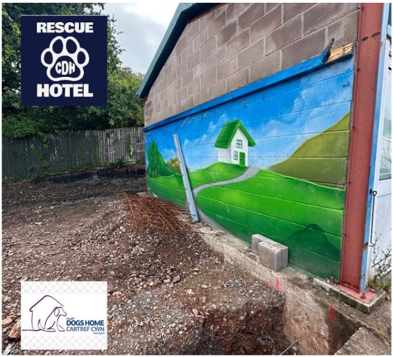 Phase 1 has officially begun at Cardiff Dog’s Home! - BECT